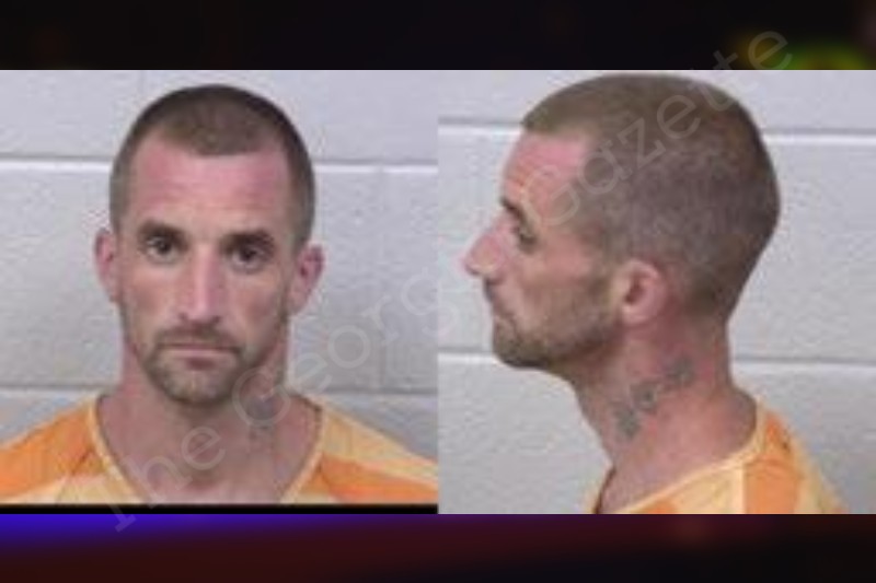 Bryan Reed — Paulding County Jail Bookings