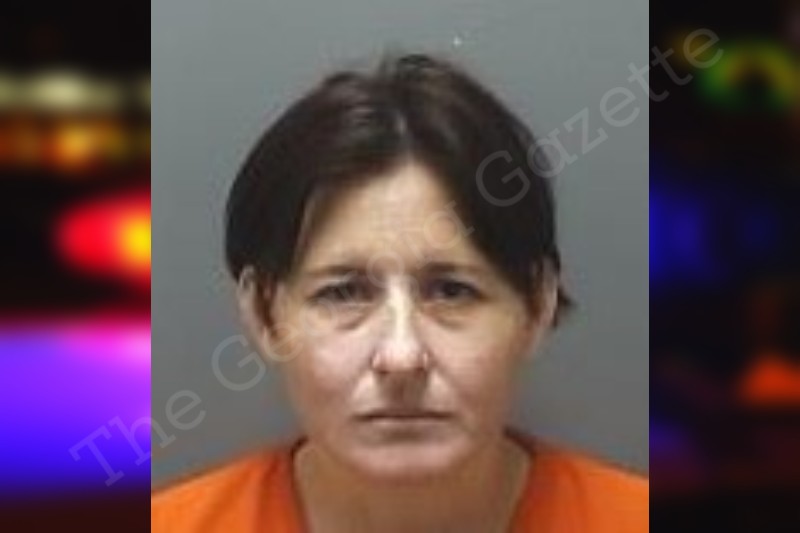 Erin Rice — Cherokee County Jail Bookings