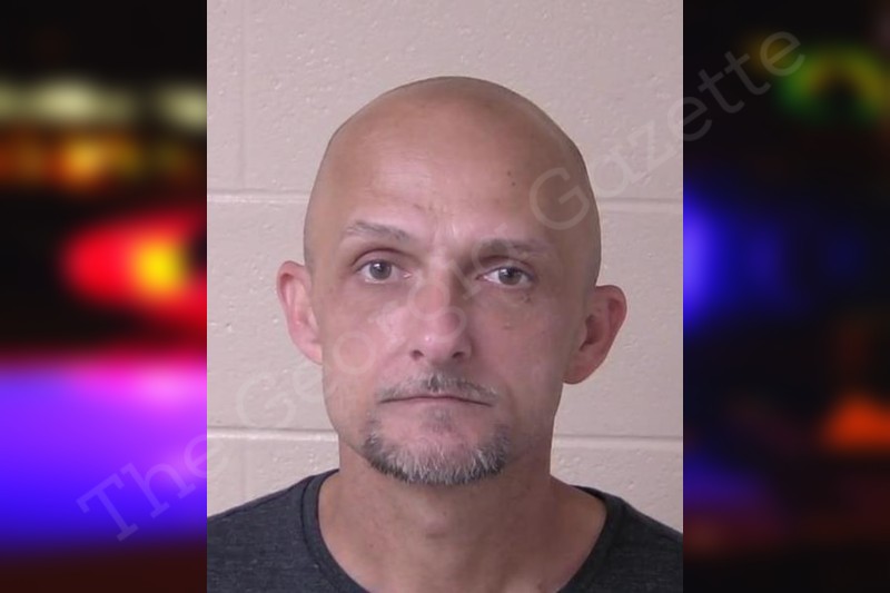 Shannon Shadrick — Walker County Jail Bookings