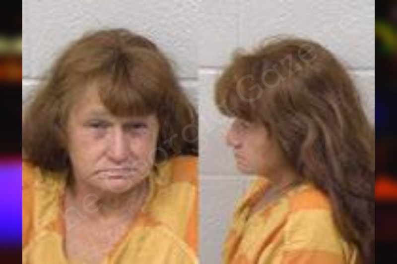 Jamie Shelton — Paulding County Jail Bookings