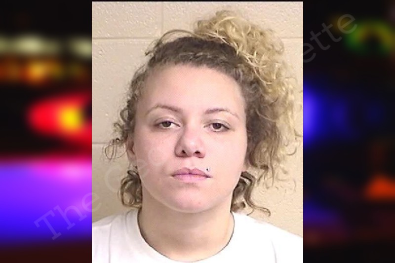 Johnna Silmon — Walker County Jail Bookings