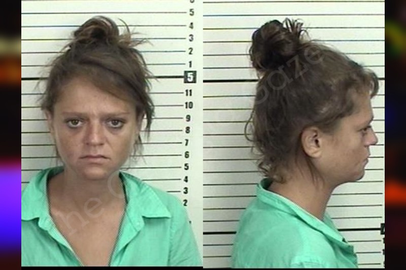 Amber Skinner — Camden County Jail Bookings