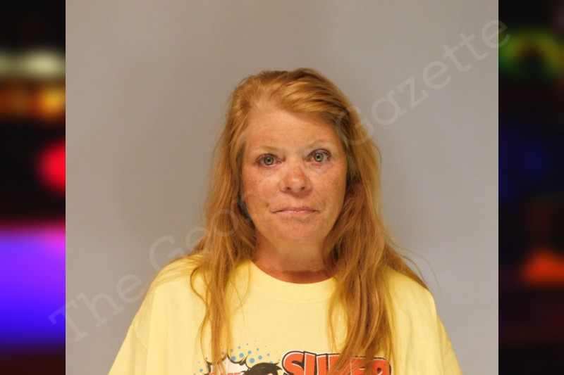 Kelly Tilley — Hall County Jail Bookings