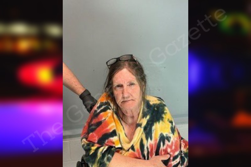 Lisa Tolbert — Hall County Jail Bookings