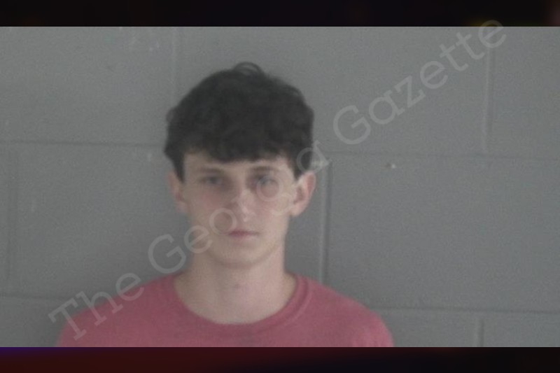 Connor Taylor — Brantley County Jail Bookings