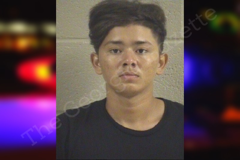 Yerlin Velasquez-Reyes — Whitfield County Jail Bookings