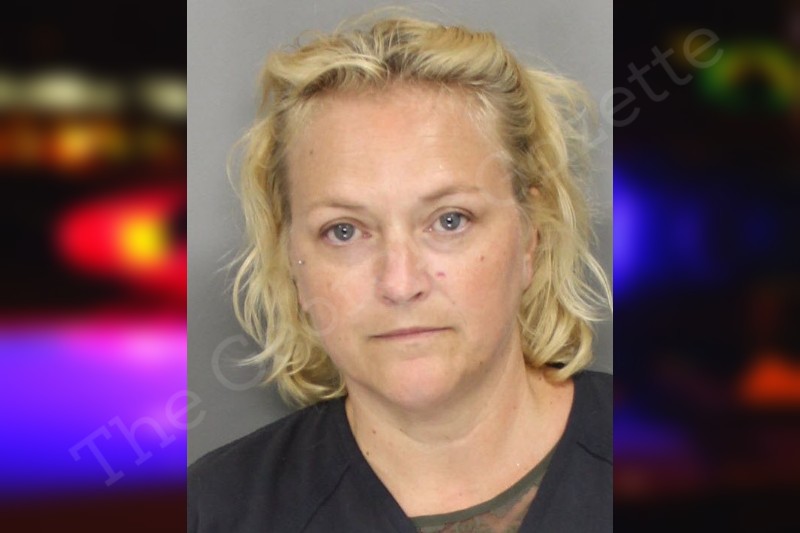 Candice Vilt — Cobb County Jail Bookings