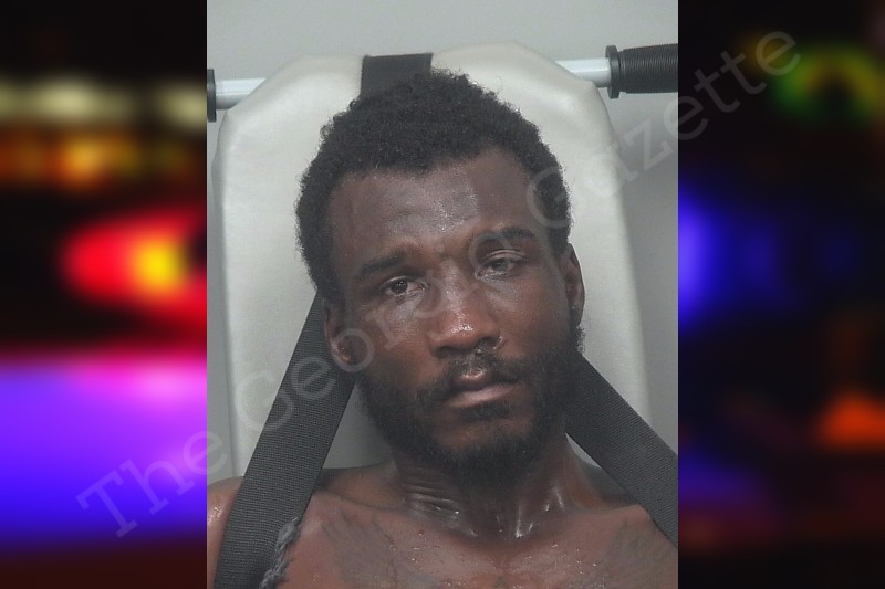 Jamal Warren — Gwinnett County Jail Bookings