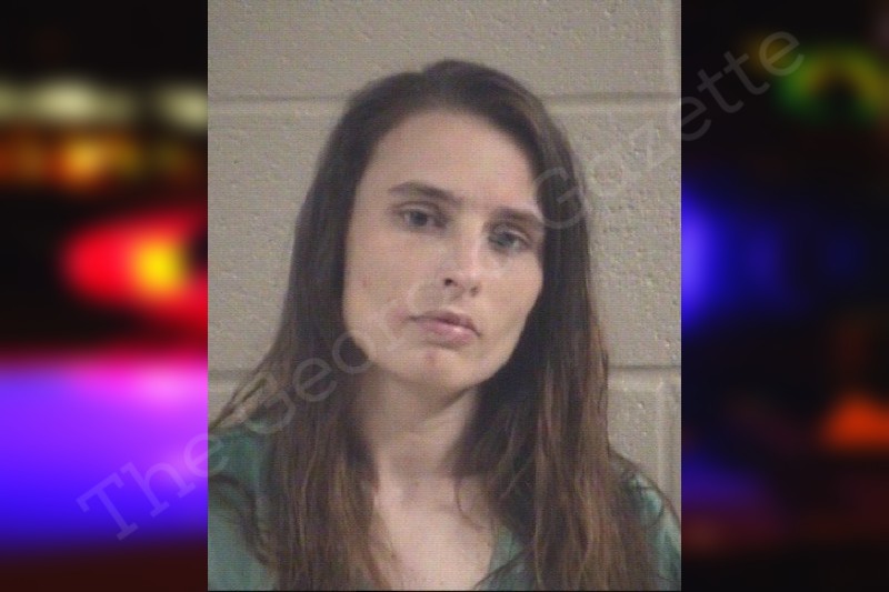 Heather Wilkins — Whitfield County Jail Bookings