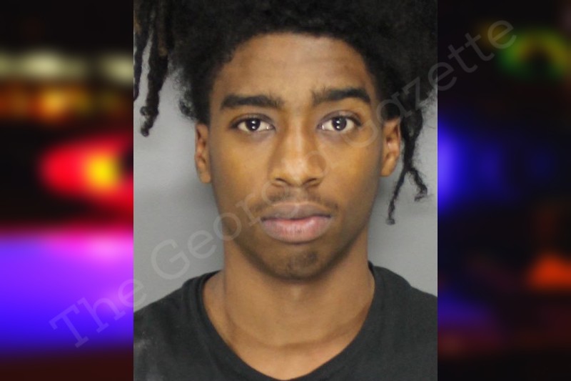 Cameron Wilson — Cobb County Jail Bookings