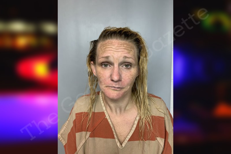 Kayla Wood — Hall County Jail Bookings
