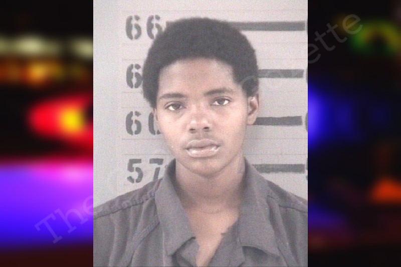 Stephanie Wallace — Dougherty County Jail Bookings