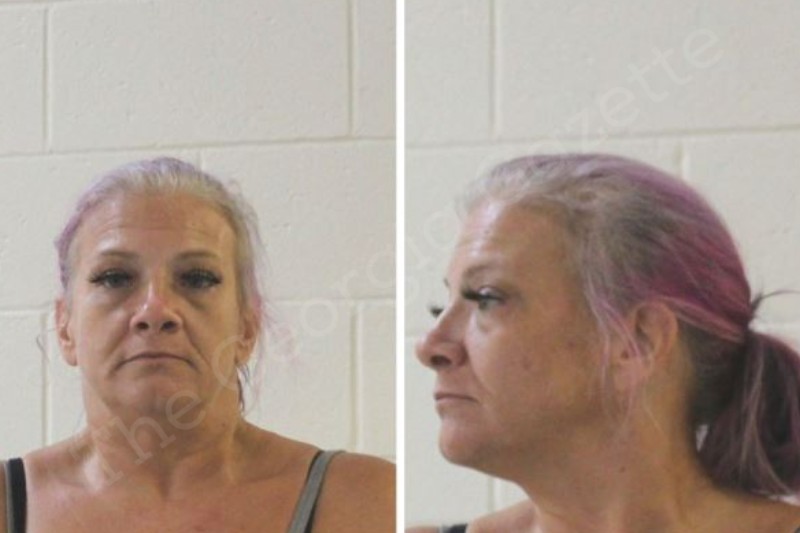 Valorie Watson — Houston County Jail Bookings