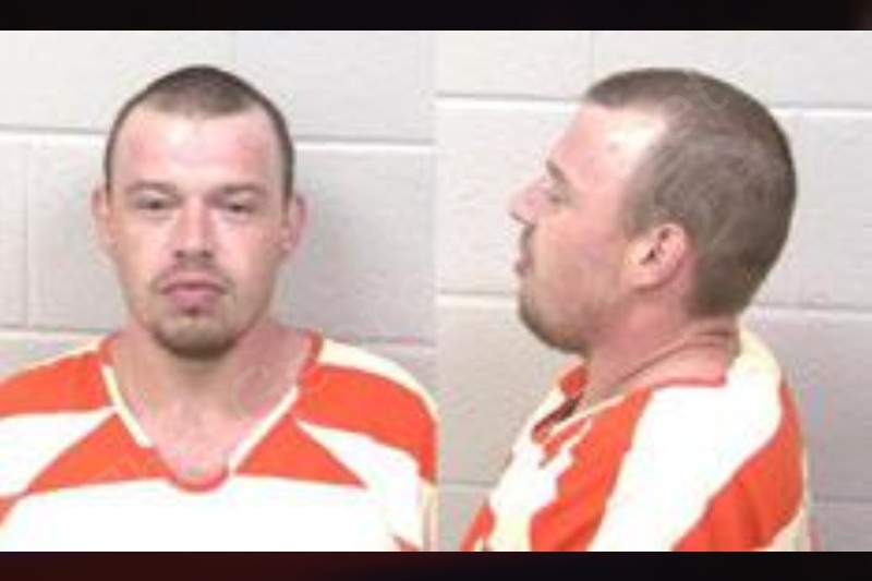 Terry Westfall — Paulding County Jail Bookings