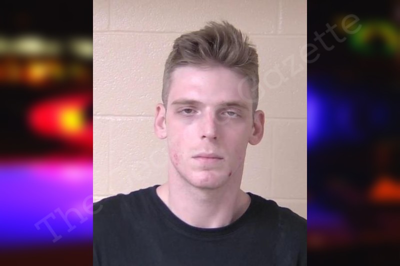 Brandon Aaron — Walker County Jail Bookings