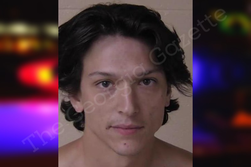 Thomas Allred — Walker County Jail Bookings