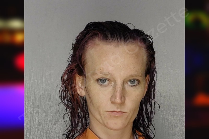 Amber Odom — Bibb County Jail Bookings