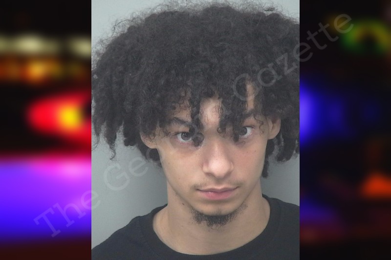 Noah Bailey — Gwinnett County Jail Bookings
