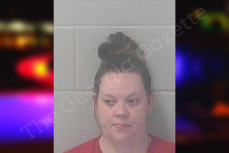 Ashley Baird — Newton County Jail Bookings