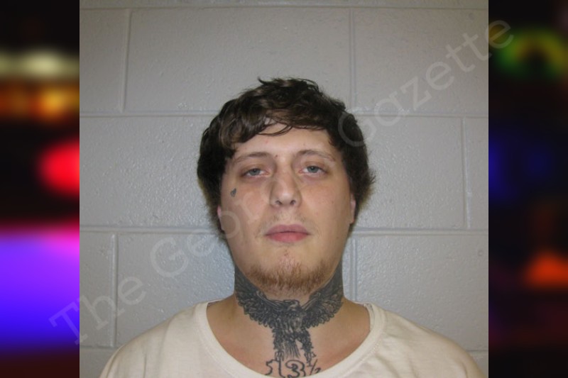 Gavin Barton — Hall County Jail Bookings