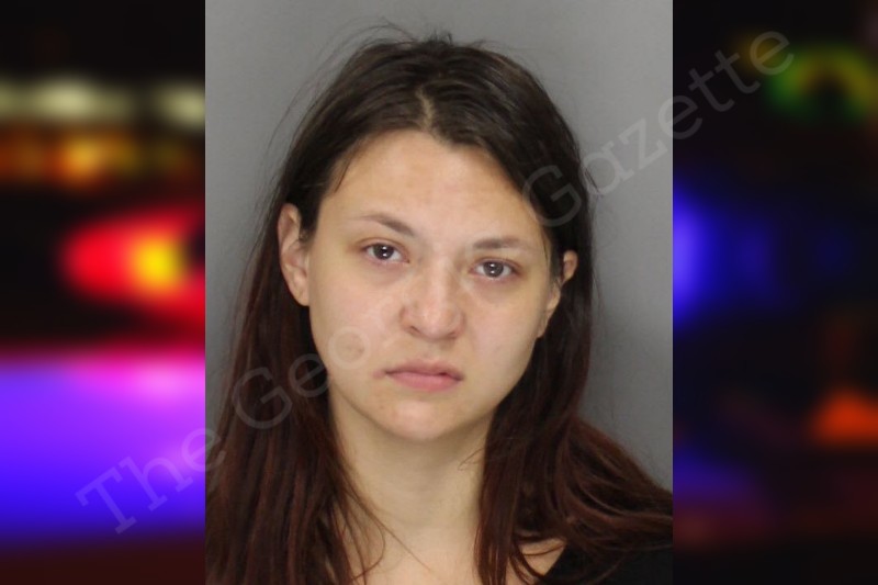 Ashley Beecher — Cobb County Jail Bookings