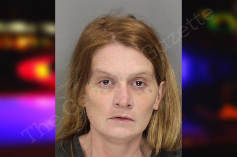 Danielle Bentley — Cobb County Jail Bookings