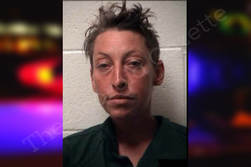 Misty Brewster — Henry County Jail Bookings