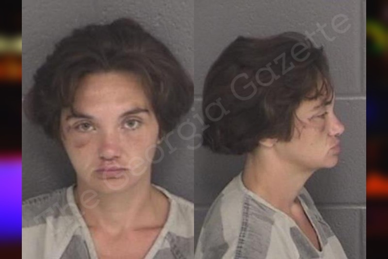 Haley Barnes — Barrow County Jail Bookings