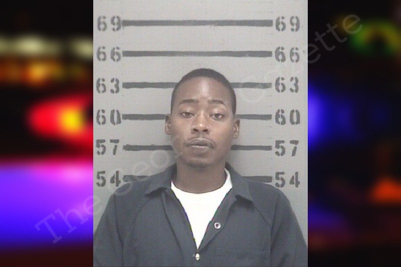 Bryan Bell — Dougherty County Jail Bookings