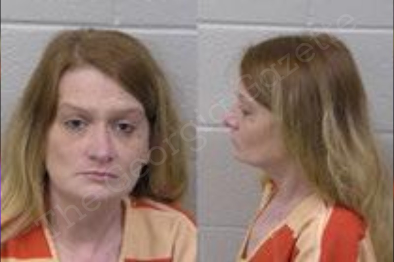 Danielle Bentley — Paulding County Jail Bookings
