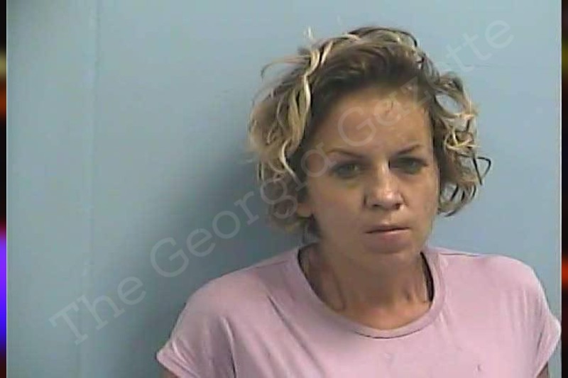 Jessica Bogle — Dawson County Jail Bookings