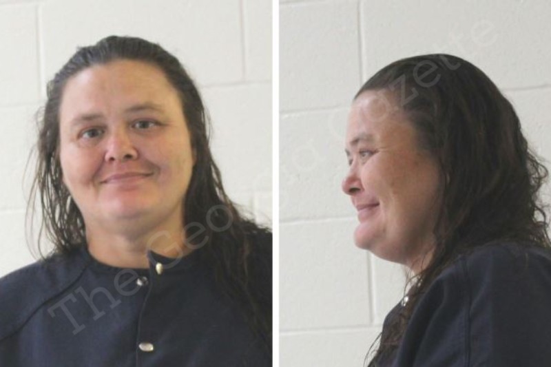 Christine Bronson — Houston County Jail Bookings