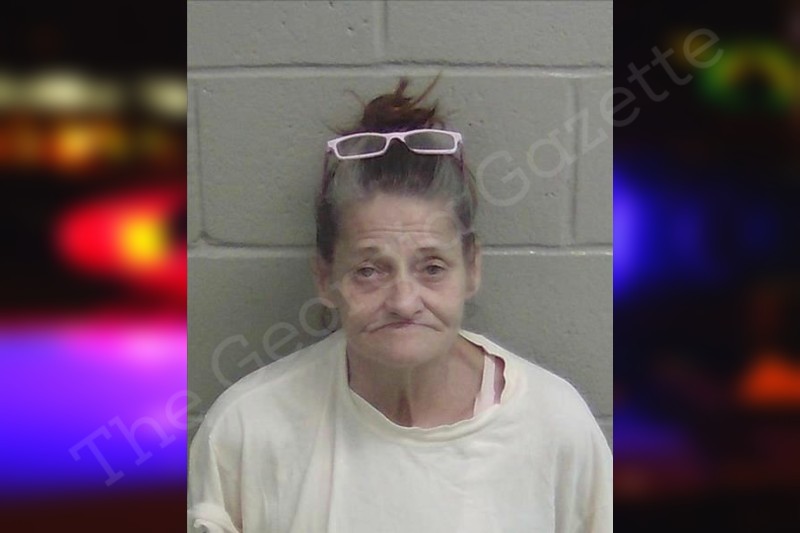 Tina Burchell — Wayne County Jail Bookings