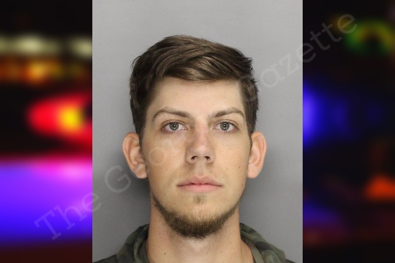 Daniel Crisler — Cobb County Jail Bookings