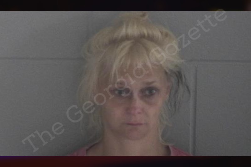 Danielle Capps — Brantley County Jail Bookings