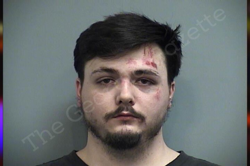 Michael Carter | Effingham County Jail Bookings