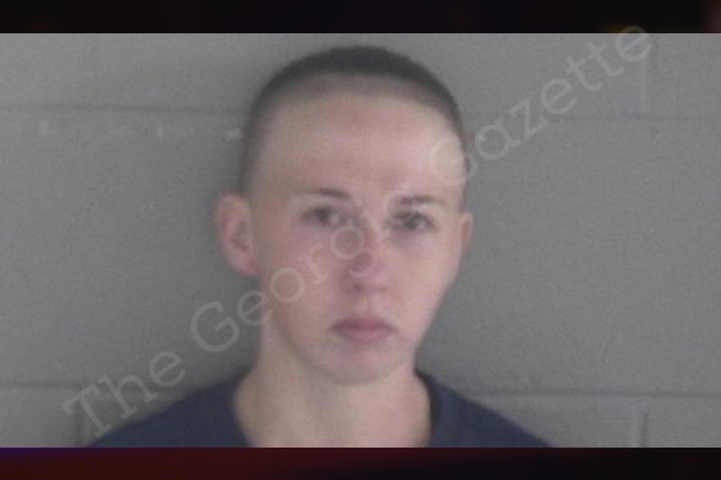 Elizabeth Cheatham — Brantley County Jail Bookings