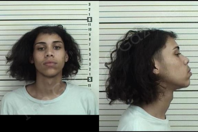 Shannon Conner — Camden County Jail Bookings