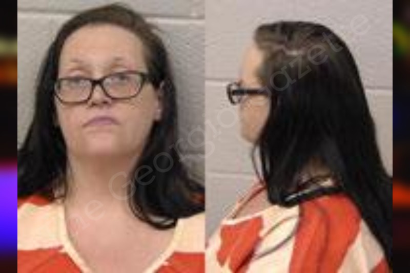 Holly Coyle — Paulding County Jail Bookings