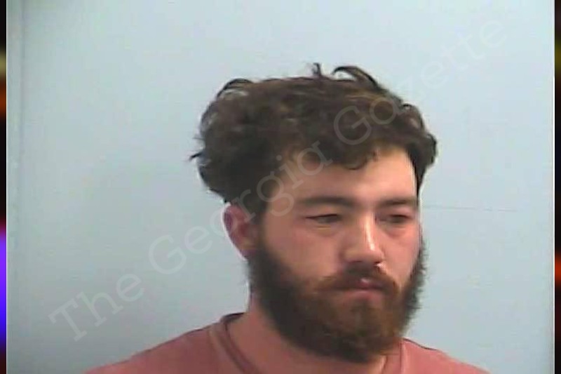 Damien Craig — Dawson County Jail Bookings