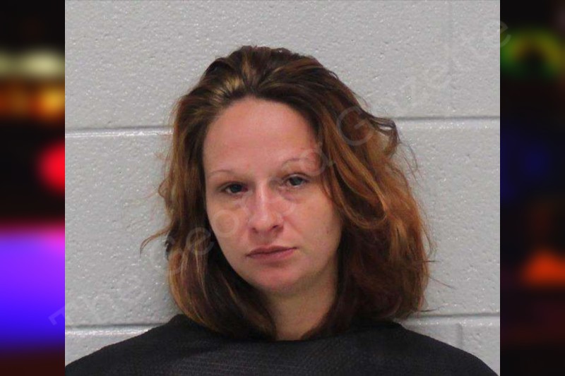 Jessica Davis — Carroll County Jail Bookings