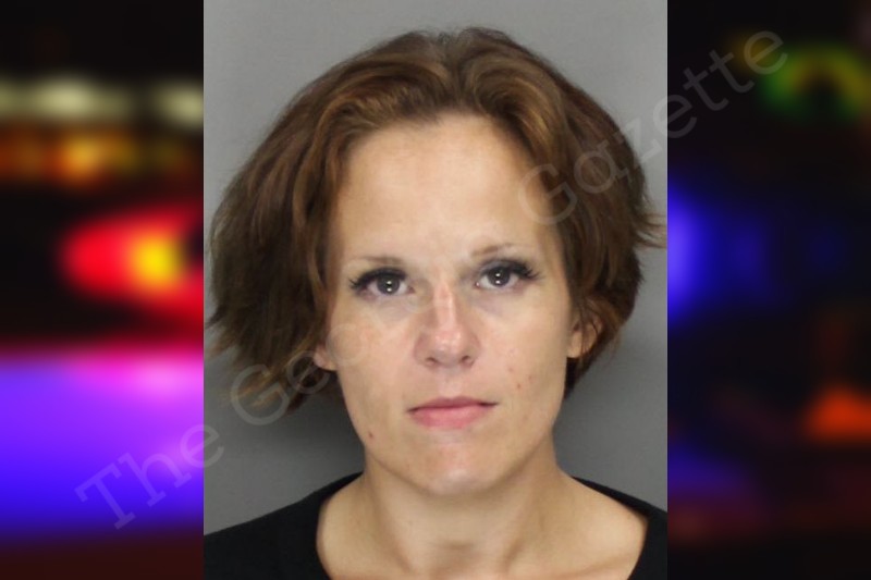 Kayla Delay — Cobb County Jail Bookings