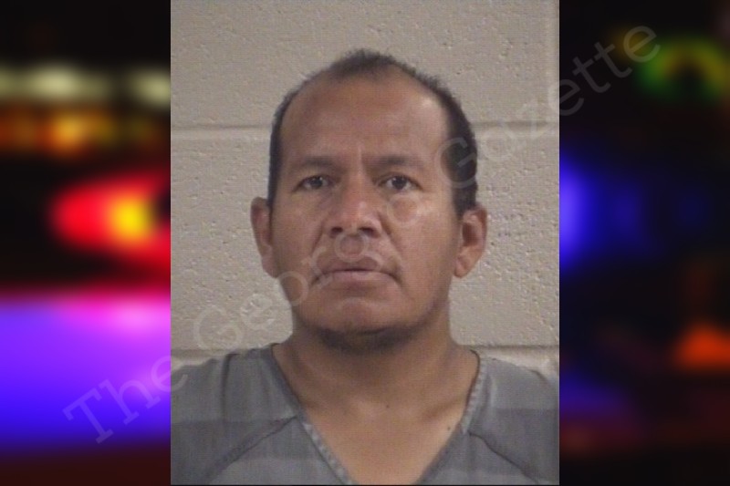 David Maya-Rico | Whitfield County