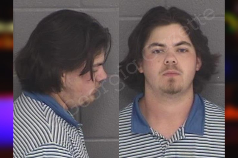Dalton Davis — Barrow County Jail Bookings