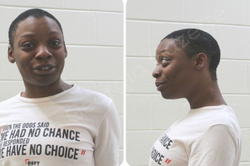 Donnetta Davis — Houston County Jail Bookings