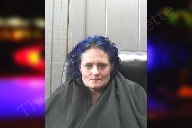 Heatherly Dill — Hart County Jail Bookings