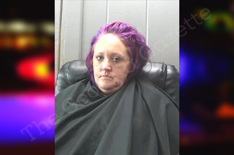 Elizabeth Drake — Hart County Jail Bookings