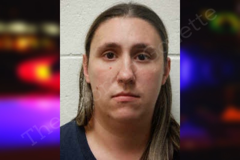 Kayla Ervin — Henry County Jail Bookings