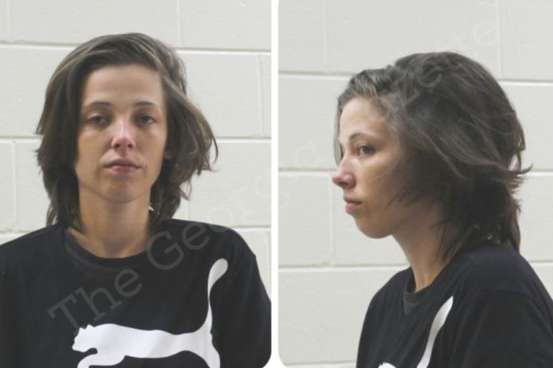 Morgan Eady — Houston County Jail Bookings