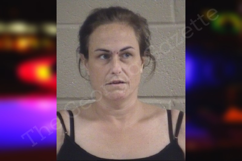 Elizabeth Steele — Whitfield County Jail Bookings